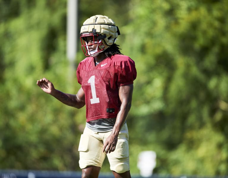FSU safety Akeem Dent enters NFL draft - TheOsceola: Florida State ... FSU safety Akeem Dent enters NFL draft - TheOsceola: Florida State ...